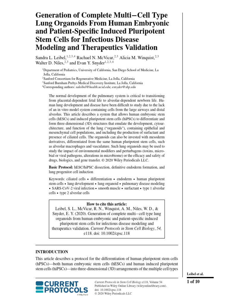 Generation of Complete Multi-Cell Type Lung Organoids From Human Embryonic and Patient-Specific ...
