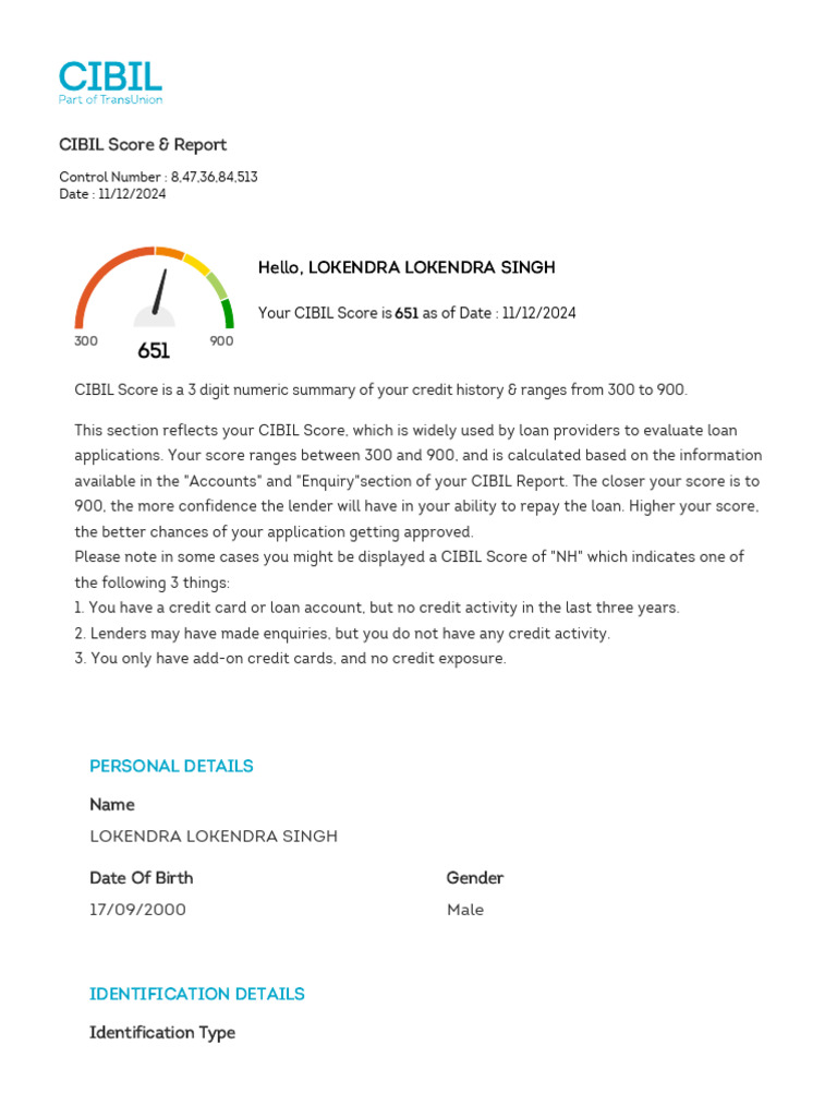 CIBIL Score Report for Lokendra Singh | PDF | Credit | Finance & Money ...