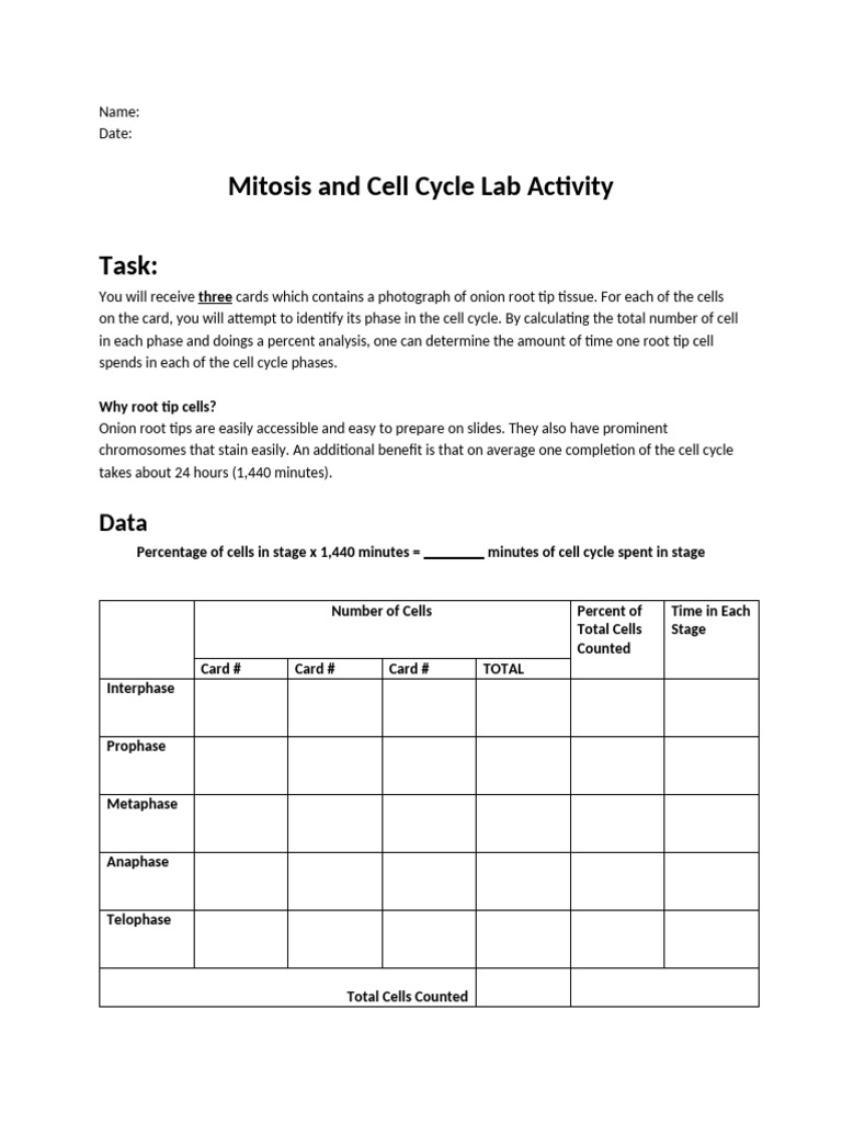 Mitosis and Cell Cycle Lab Activity | PDF