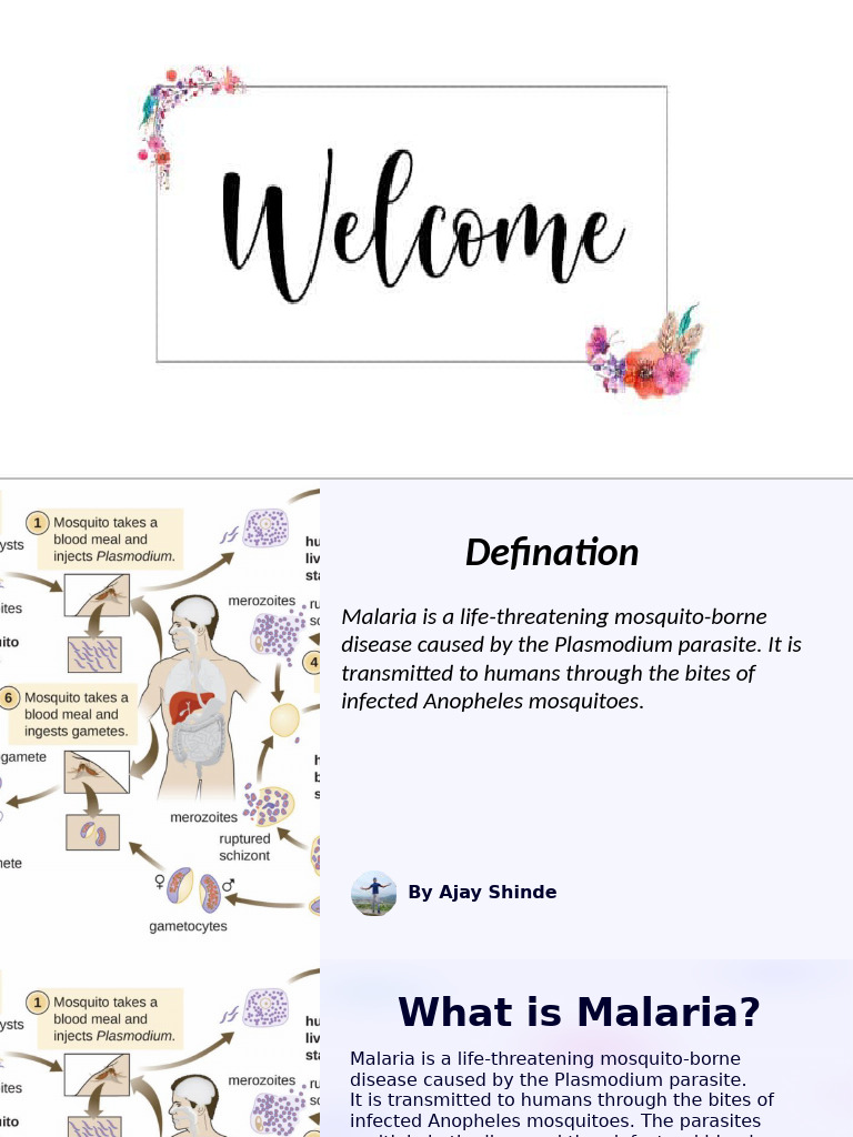 Understanding Malaria: Causes and Control | PDF | Malaria | Plasmodium