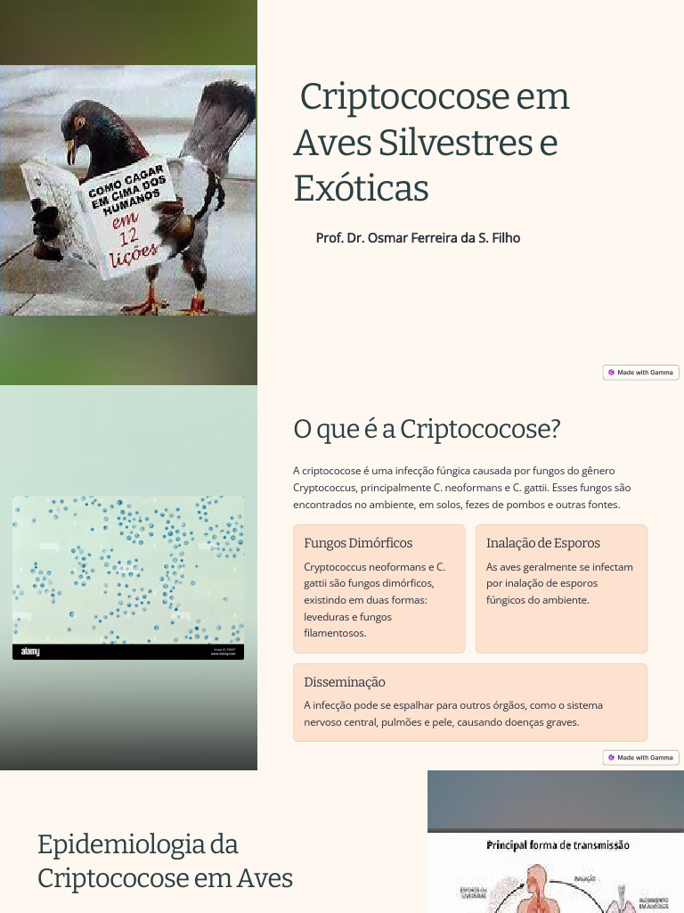 Criptococose em Aves Silvestres e Exoticas | PDF | Aves | Fungo