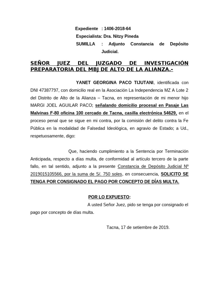 Yaneth Pacco - Adjunto Constancia - Dias Multa | PDF