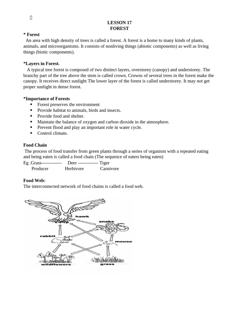 Lesson 17 Forest Pdf Forests Foods