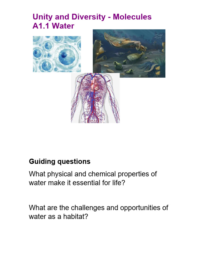Molecules Intro and Water | PDF | Chemical Bond | Chemical Polarity
