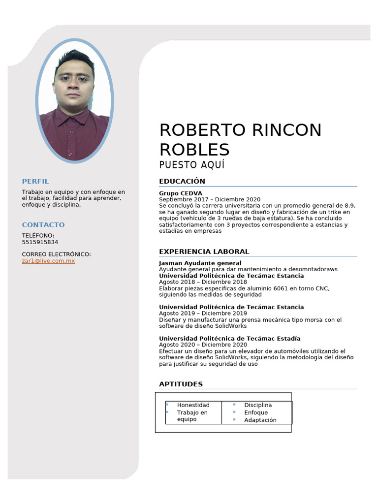 Perfil Profesional de Roberto Rincón | PDF