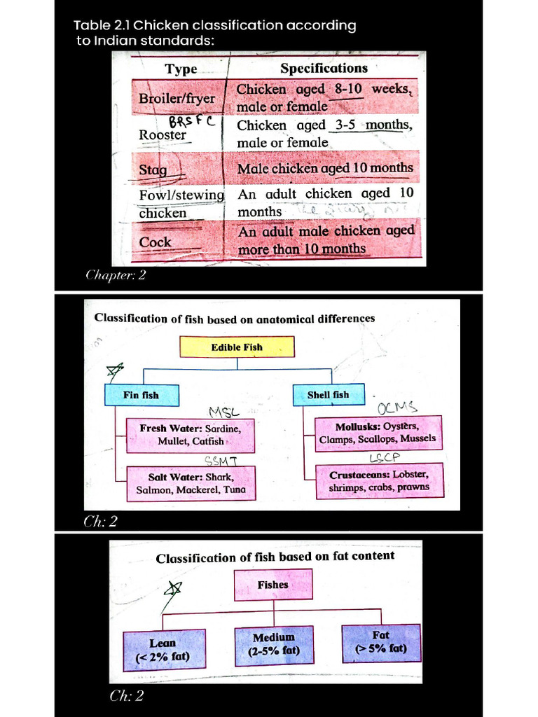 Flow Charts of All Chapters (Food Science) | PDF