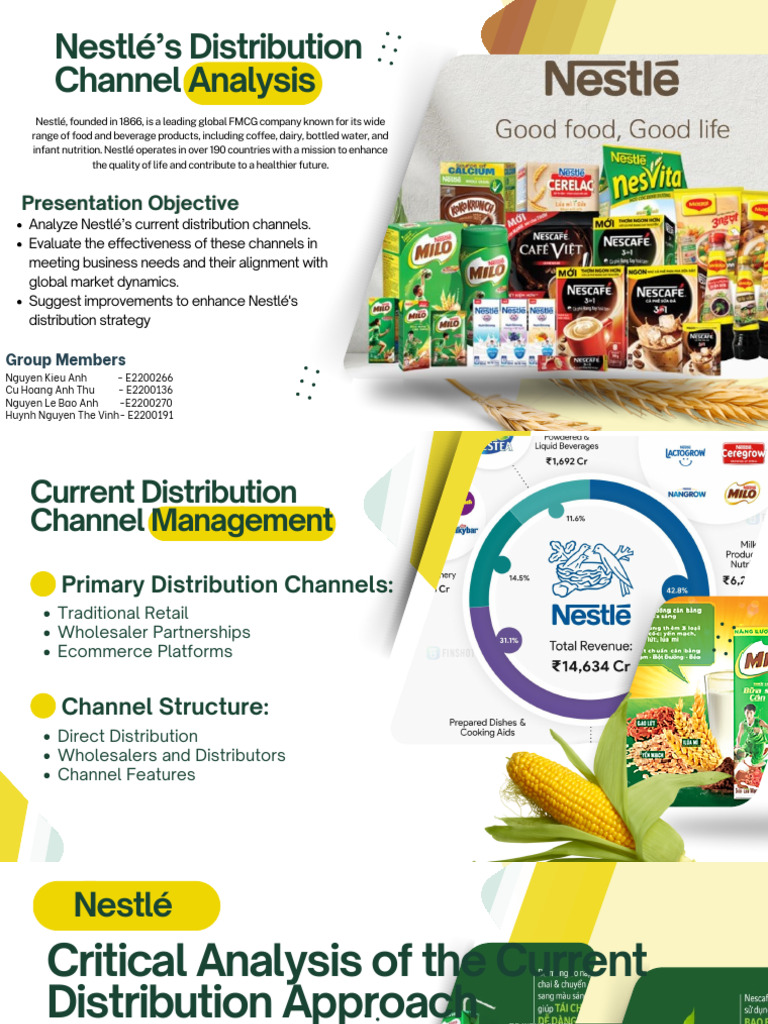 Nestlé's E-Commerce Distribution Strategy | PDF | E Commerce | Supply Chain