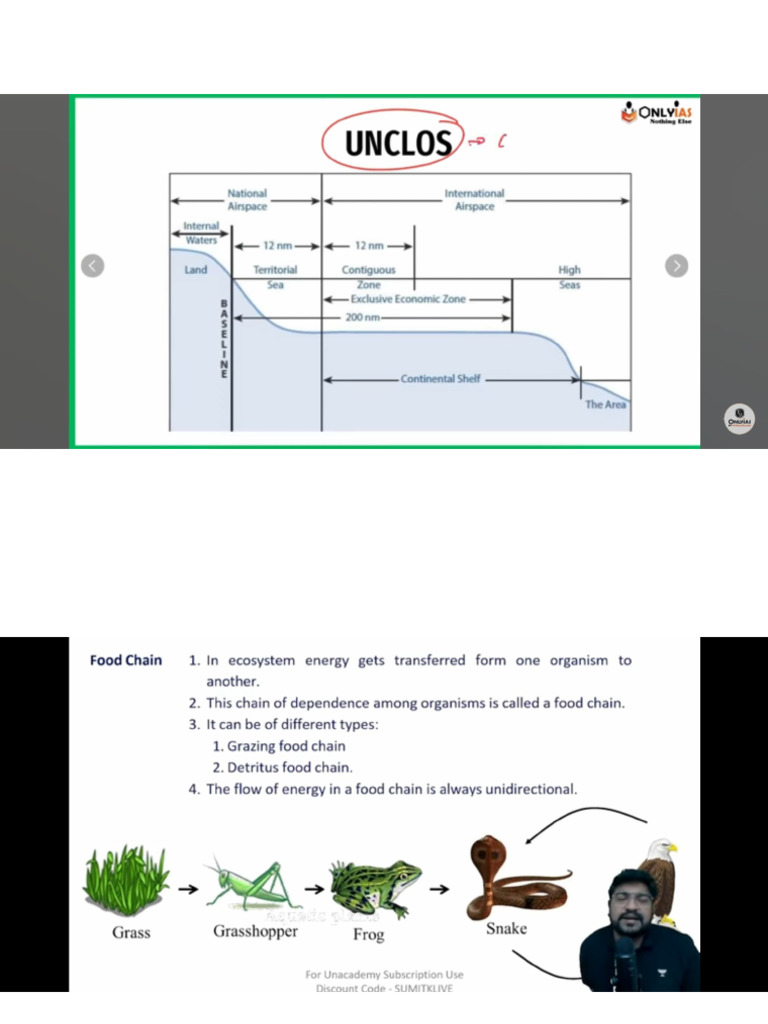 Detritivore Vs Decomposer | PDF