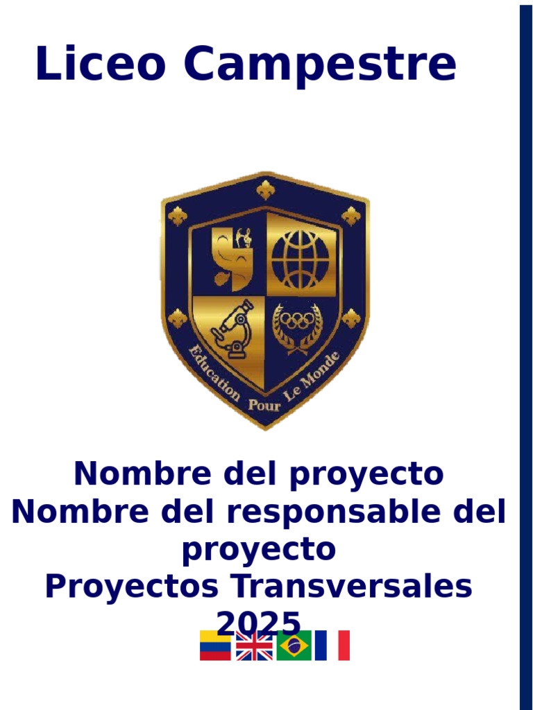 Formato Proyectos Transversales 2025. | PDF