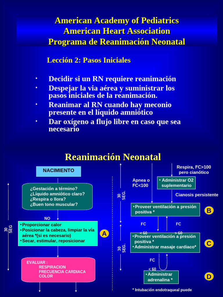 Pasos para RCP en RN | PDF | Reanimación cardiopulmonar | Infantes