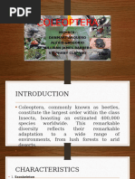 Insect Leg Types and Functions Guide | PDF | Insects | Beetle