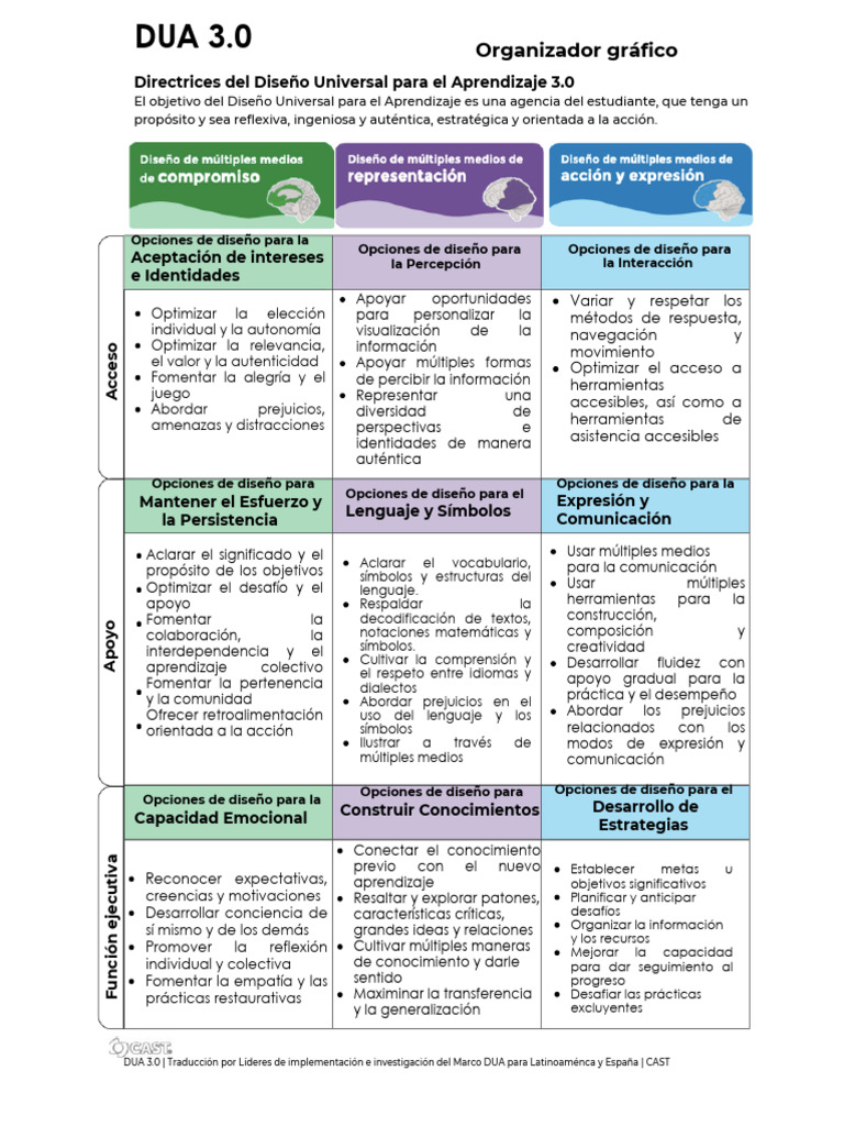 DUA 3.0 Organizador Gráico | PDF | Diseño | Aprendizaje