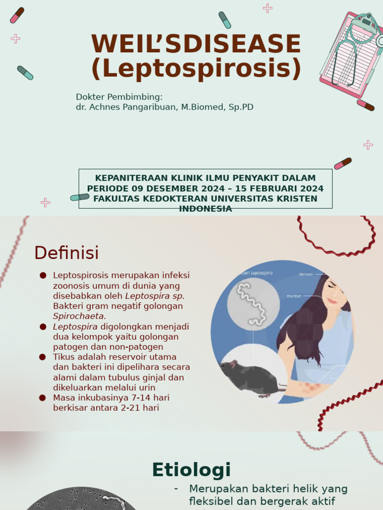 PPT Weils Disease | PDF