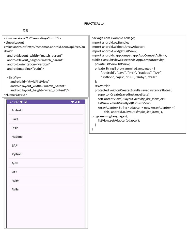 PRACTICAL 14 | PDF | Programming Paradigms | Software Development