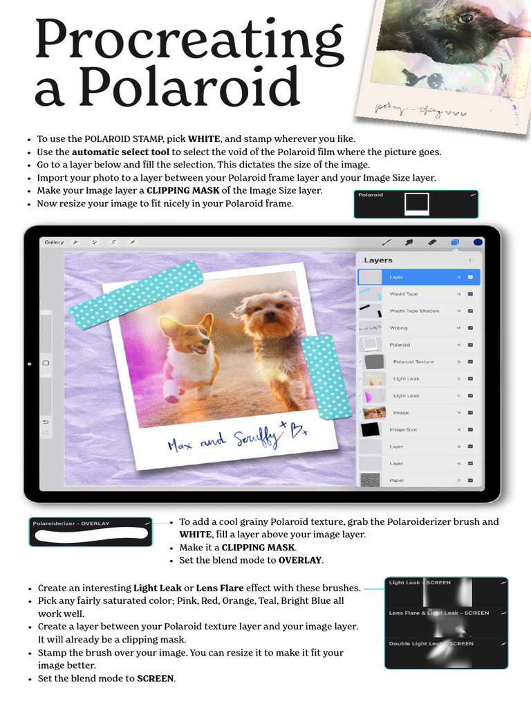 Procreating A Polaroid Tutorial | PDF
