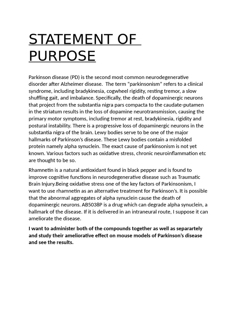 Statement of Purpose | PDF