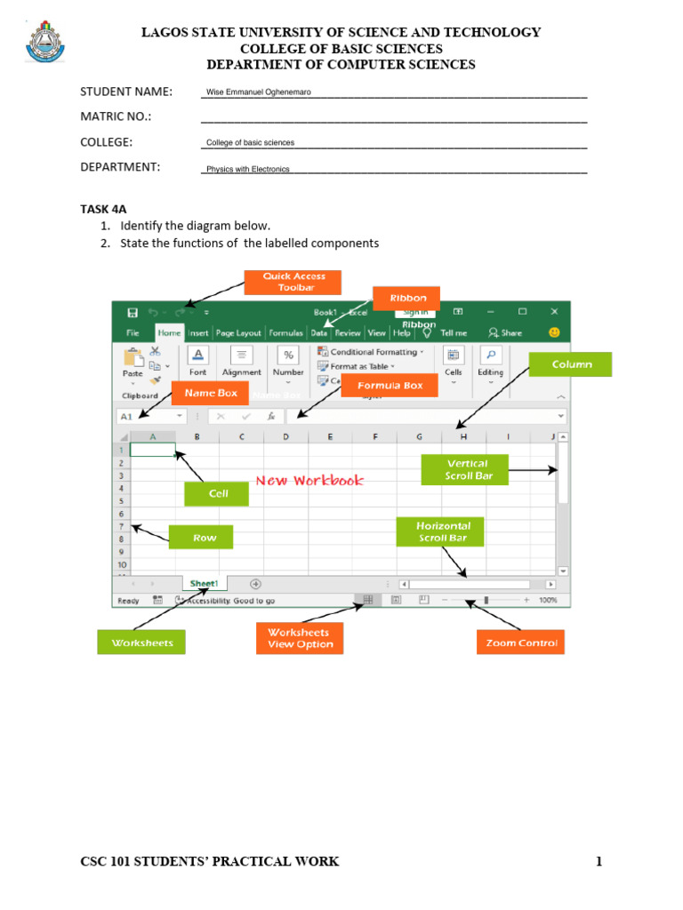 CSC 101 Practical Work Guide | PDF