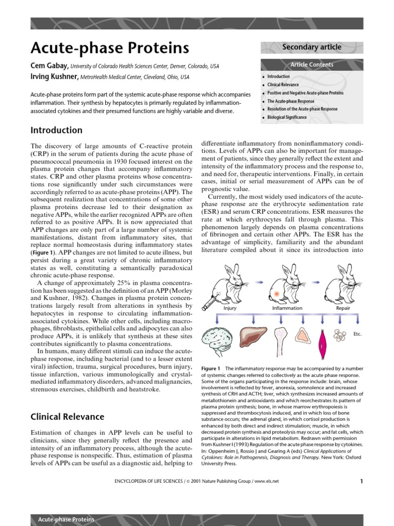 Acute-Phase Proteins: Cem Gabay, Irving Kushner | PDF | Cytokine ...