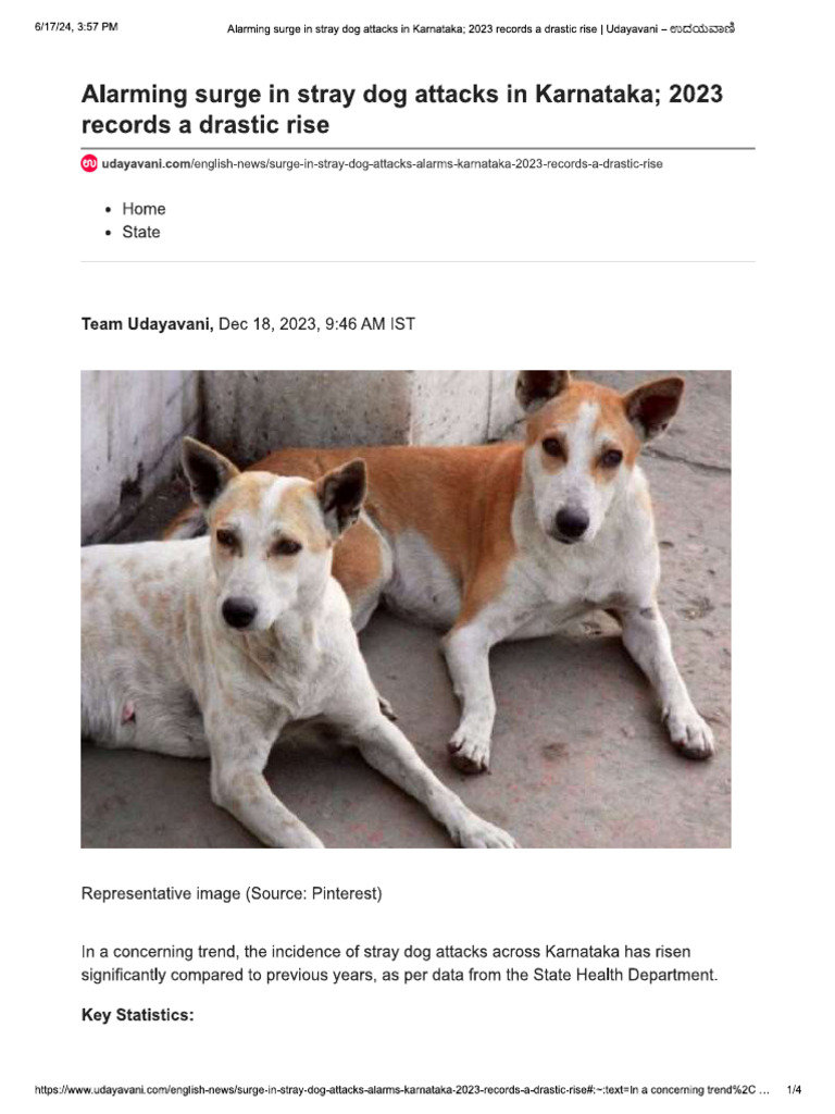 Karnataka Dog Bite Situation | PDF