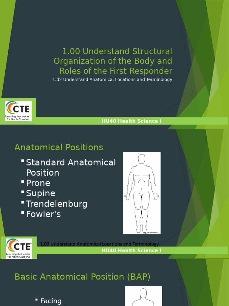 1.02 Directional Terms and Anatomical Positions - FinalHS1 | PDF ...
