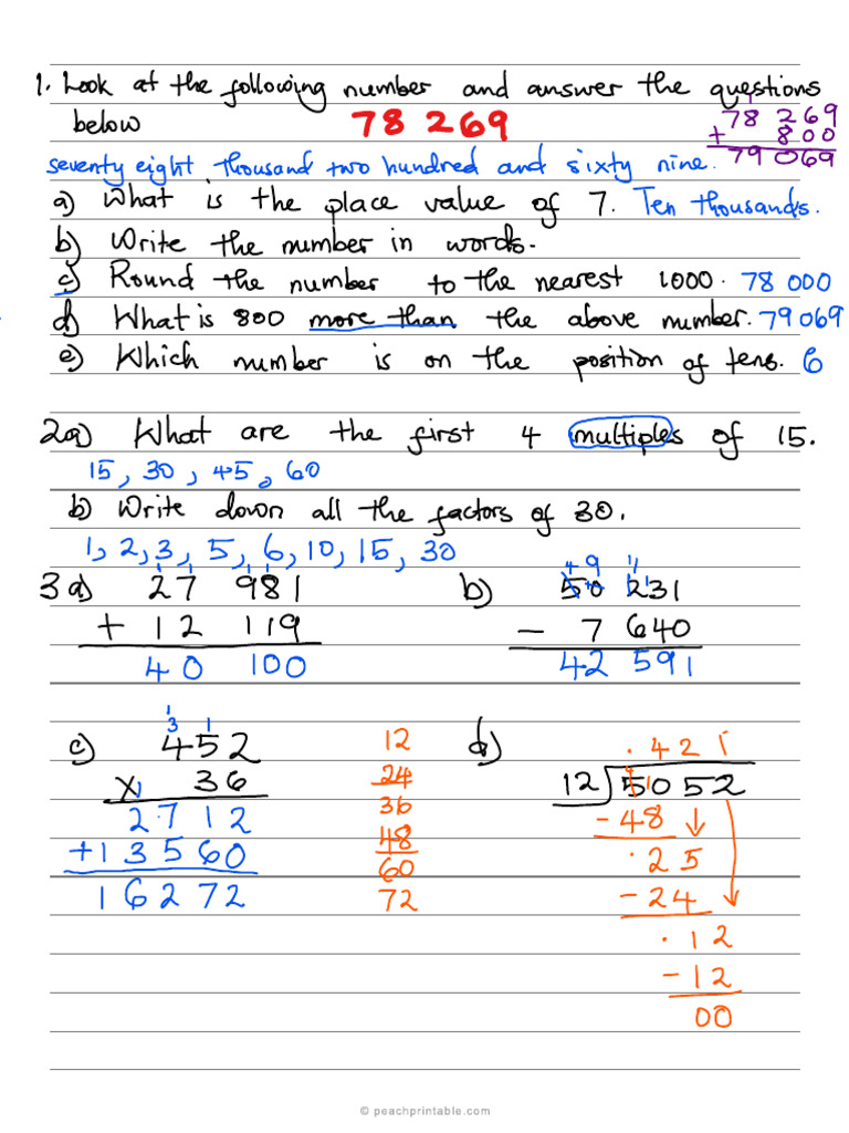 GRADE 5 WORK Ms | PDF