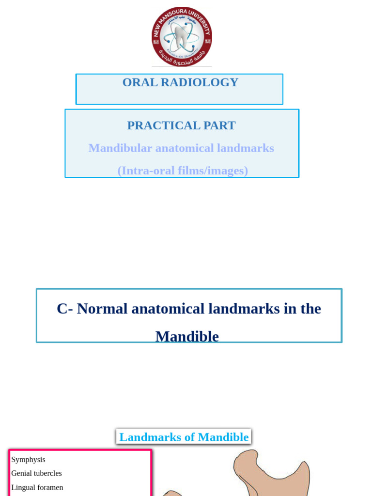 Section III _ Mandibular anatomical landmarks | PDF | Dental Anatomy ...