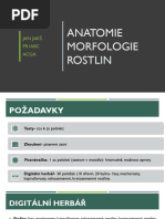 BBCH Stupnice | PDF