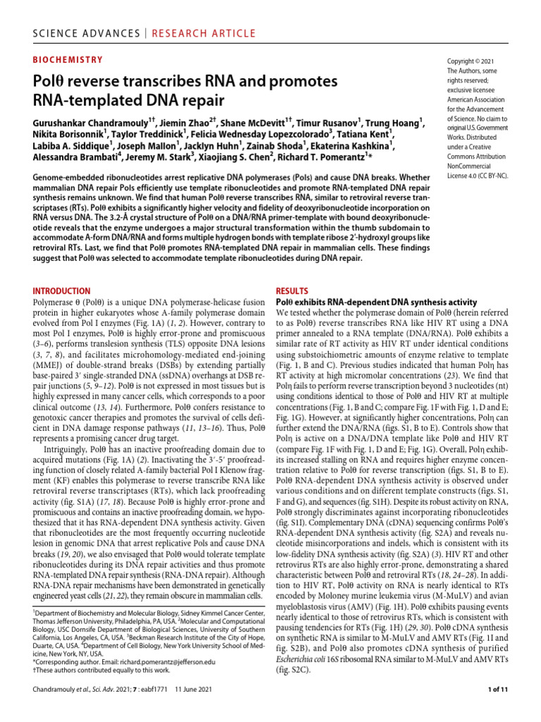 Human Cells Can Write RNA Sequences Into DNA | PDF | Reverse Transcriptase | Dna