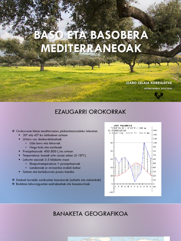 Baso Eta Basobera Mediterraneoak - Izaro Zelaia | PDF
