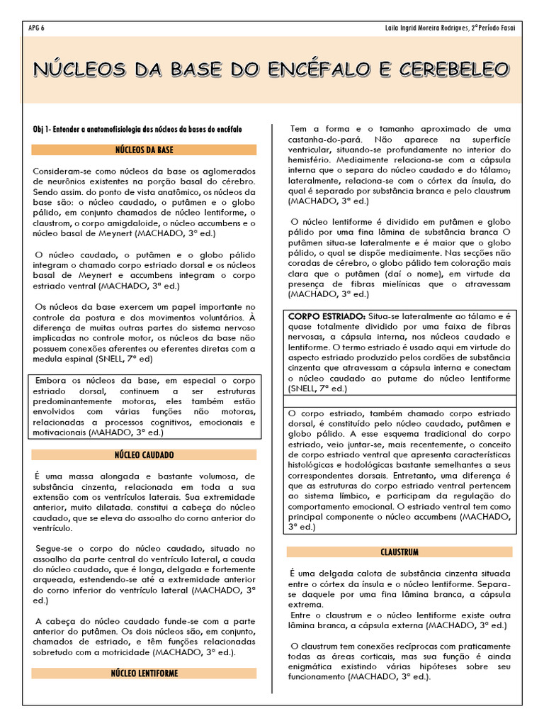 Anatomia e Funções dos Núcleos da Base | PDF | Cérebro | Neurônio motor