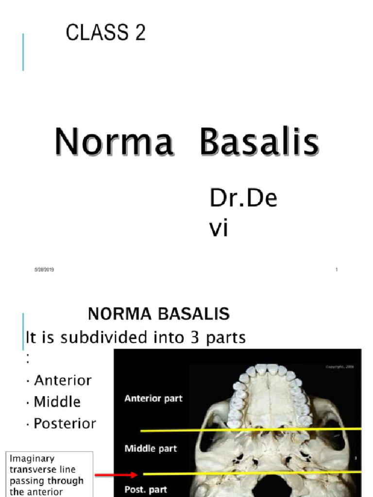 Norma Basalis | PDF