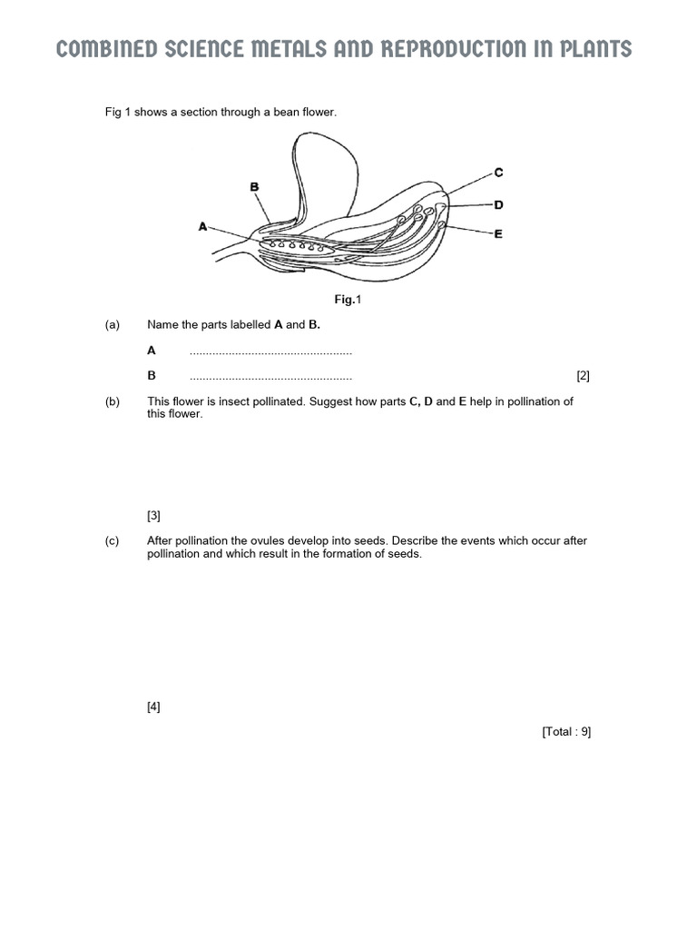 Form 4 Combined Sci - Metals and Reproduction | PDF | Germination | Iron