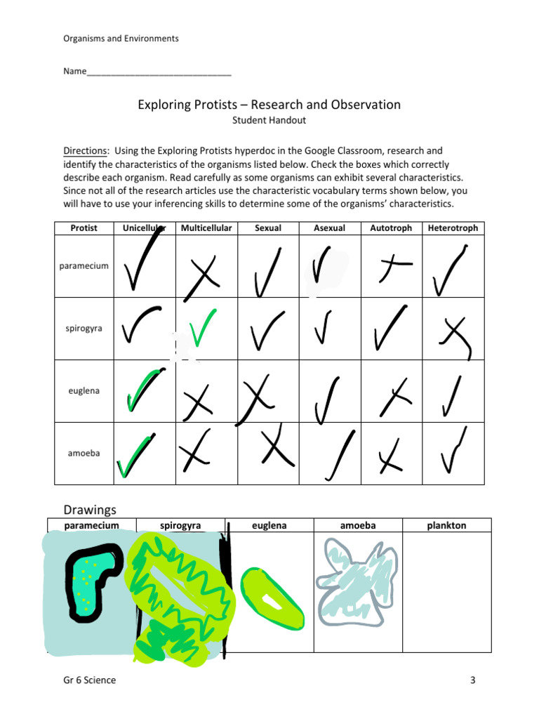 Exploring Protists: Characteristics & Facts | PDF