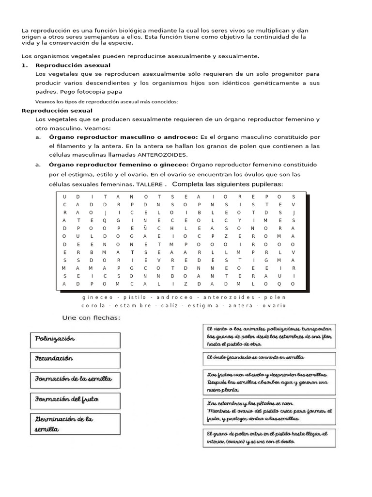 Reproducción en Plantas | PDF