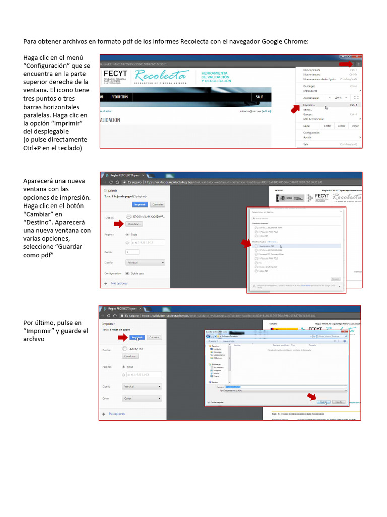 Como Obtener PDF de Informe Repositorios | PDF