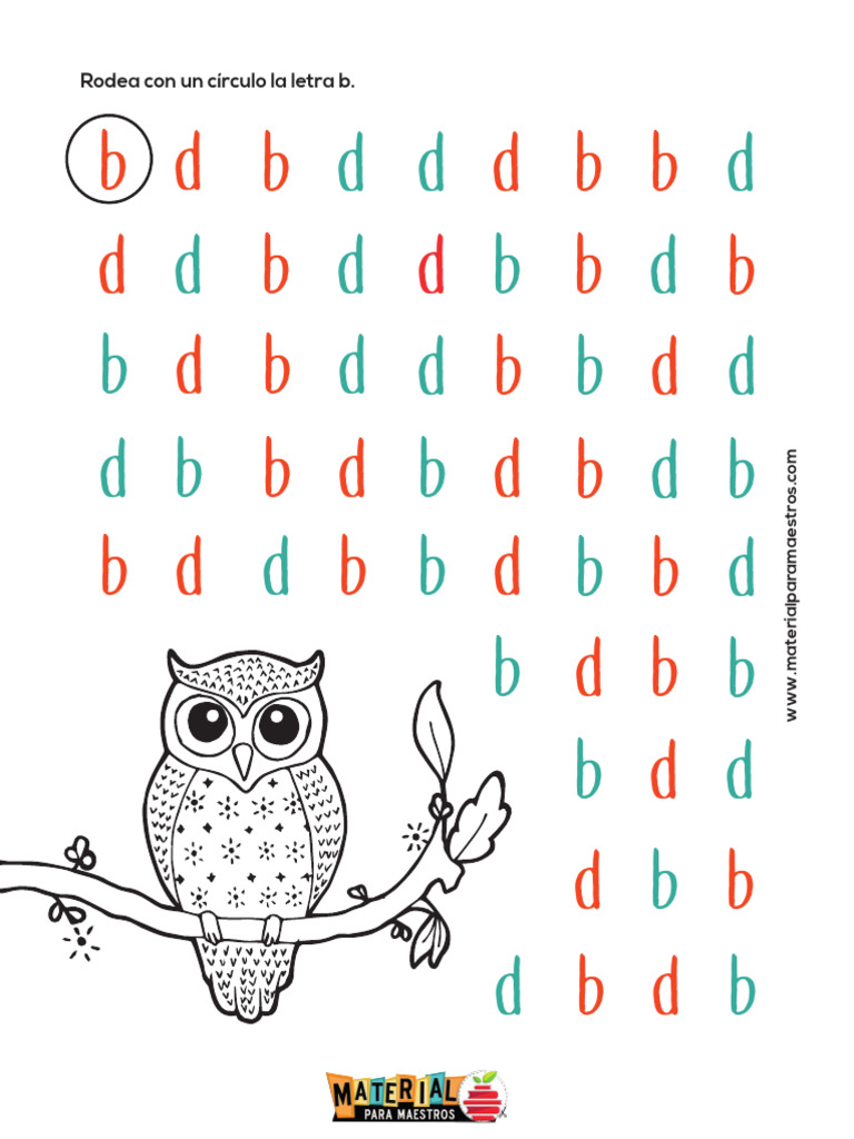 Actividades B y D | PDF