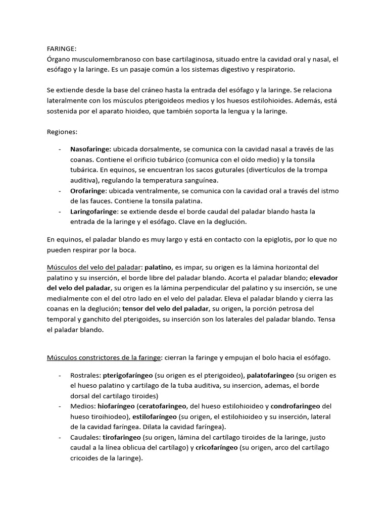 Anatomía de la Faringe y Laringe en Perros | PDF | Laringe ...