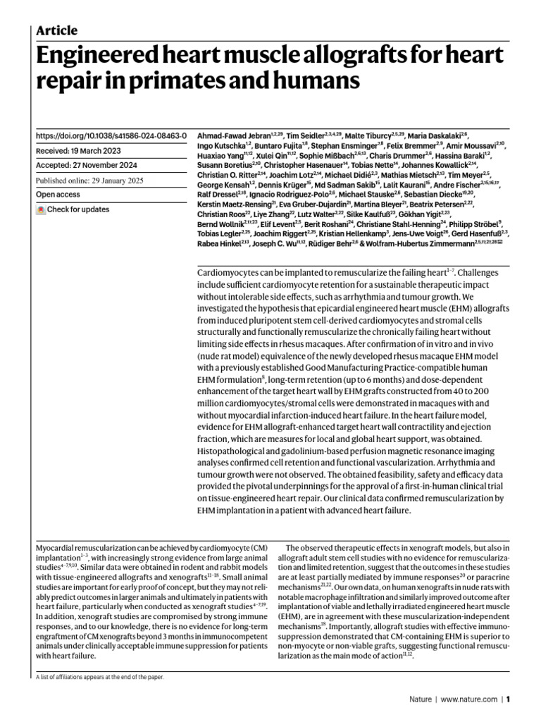 Engineered Heart Muscle Allografts For Heart Repair in Primates and ...