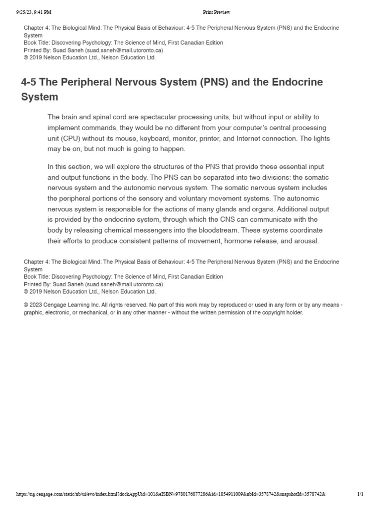 Understanding the Peripheral Nervous System | PDF