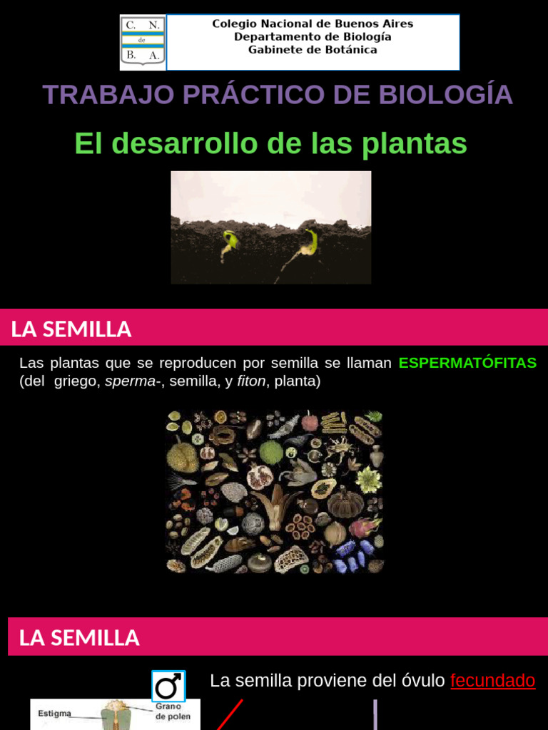 TP 3 Biología-El Desarrollo de Las plantas-CNBA2022 | PDF | Semilla ...