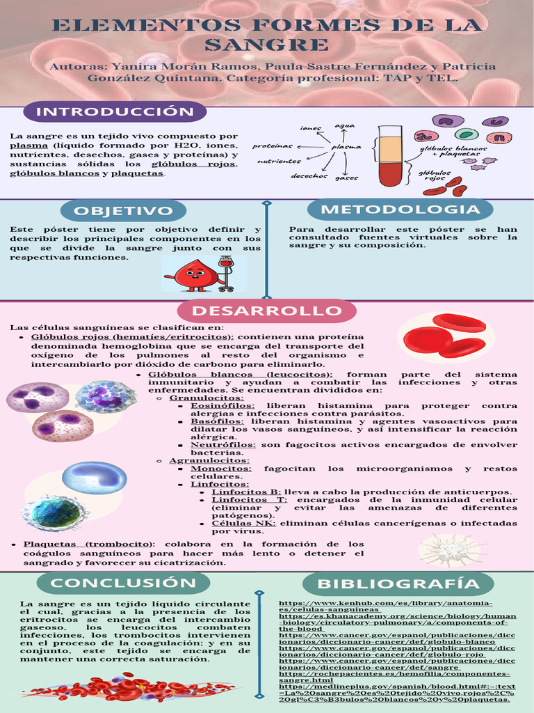 Elementos Formes de La Sangre | PDF | Sangre | Leucocito