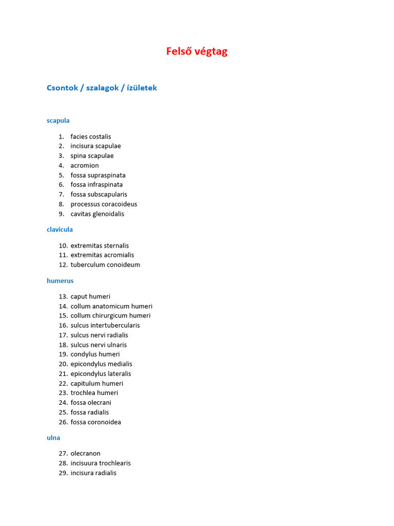Végtagok Szigorlati Beugro ANAT 3 AOK 2024 | PDF | Extremidades (anatomía) | Sistema esquelético