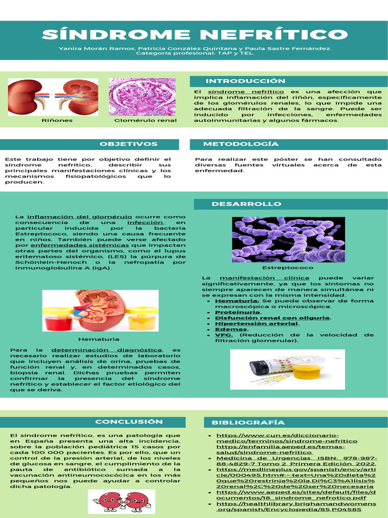 Síndrome Nefrítico | PDF | Especialidades Medicas | Enfermedades y ...