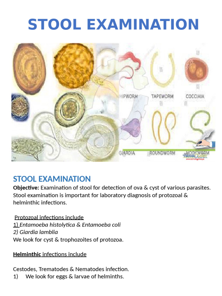 Stool Examination for Parasite Detection | PDF | Human Feces | Microbiology