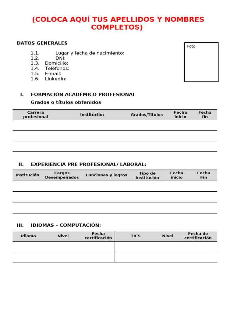 Formato de CV Profesional 2025 | PDF