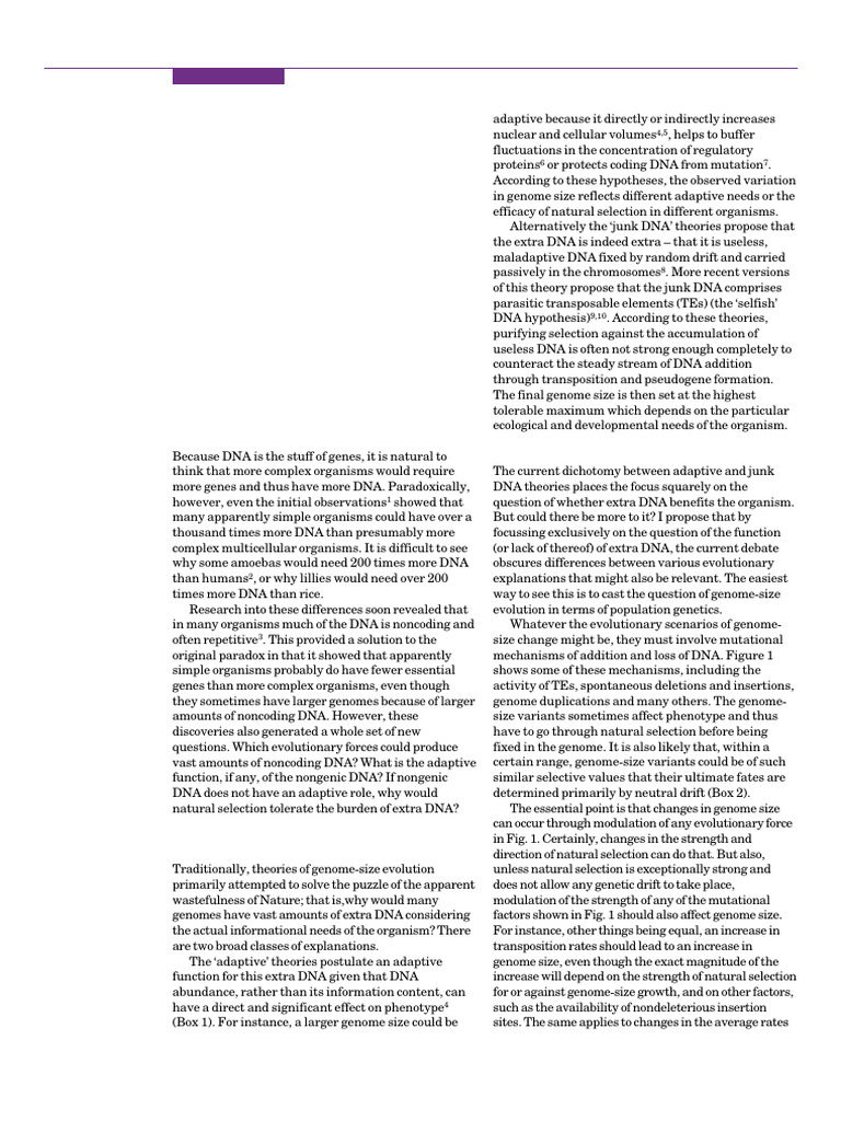 Evolution_of_genome_size_new_approaches | PDF | Transposable Element | Mutation