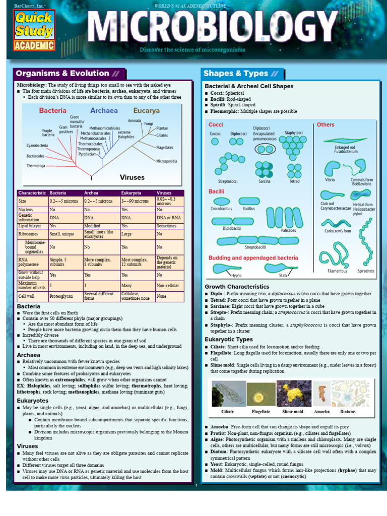 Microbiology A QuickStudy Laminated 6-Page Referen... - (Shapes & Types ...