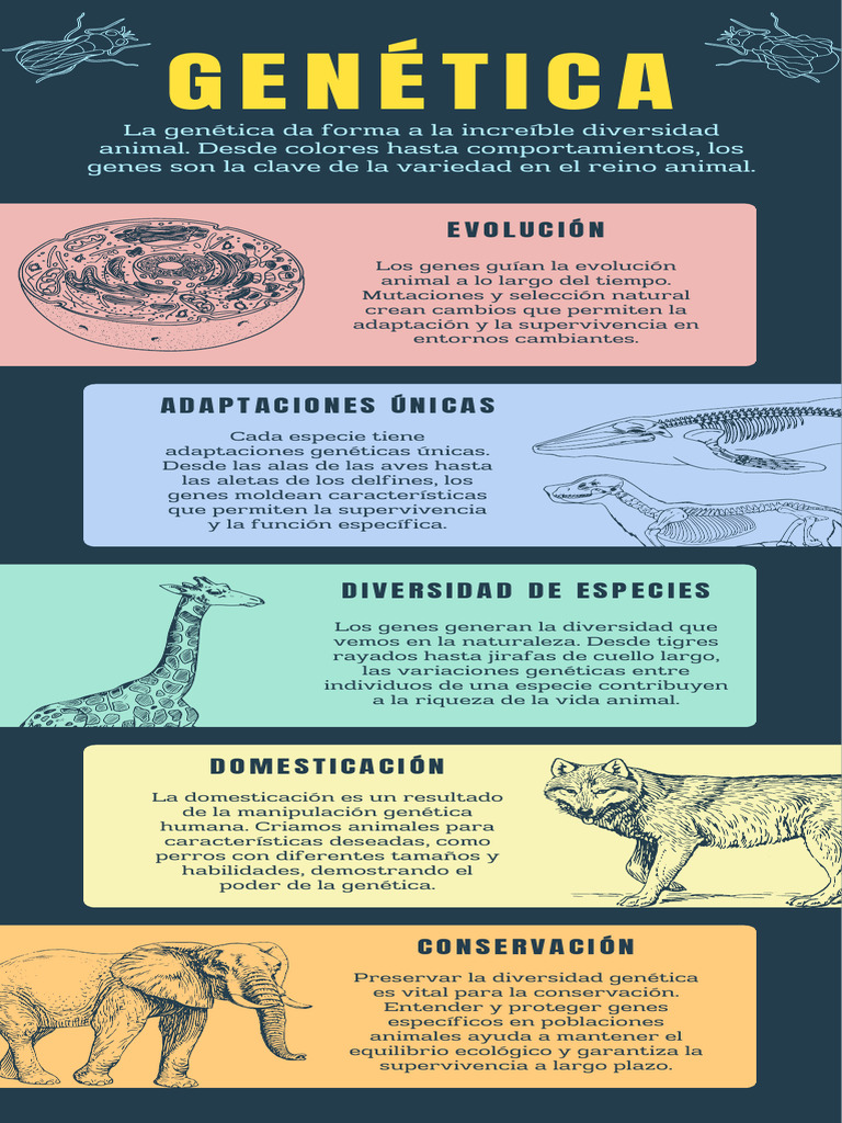Infografía de Biología Genética y Diversidad Animal Ilustrativa ...