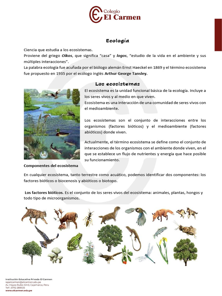 Ficha Informativa - S1 - Ecosistemas | PDF | Ecosistema | Ecología