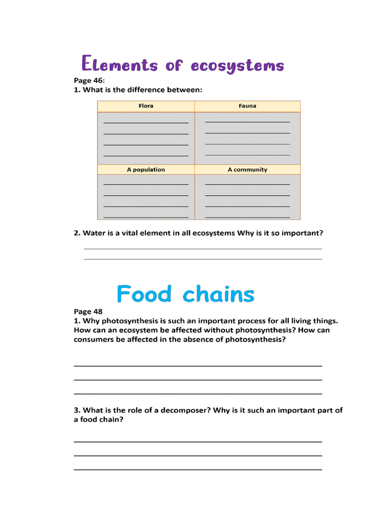 Elements of Ecosystems and Food Chains | PDF